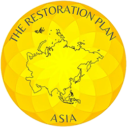 The Restoration Plan – Healing One Community at a Time